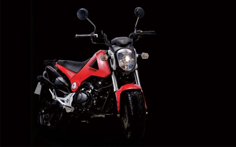Wonjan WJ150-18 mẫu xe Trung Quốc nhái Honda MSX125 - Motosaigon